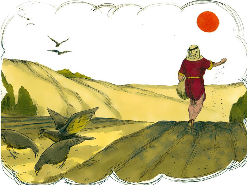 E-KIDS 1st Grade Lessons: July 2, 2017 - Parable of the Sower