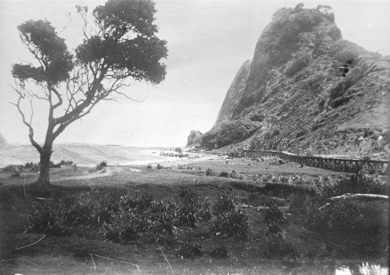 Kauri logging in Waitākere Ranges