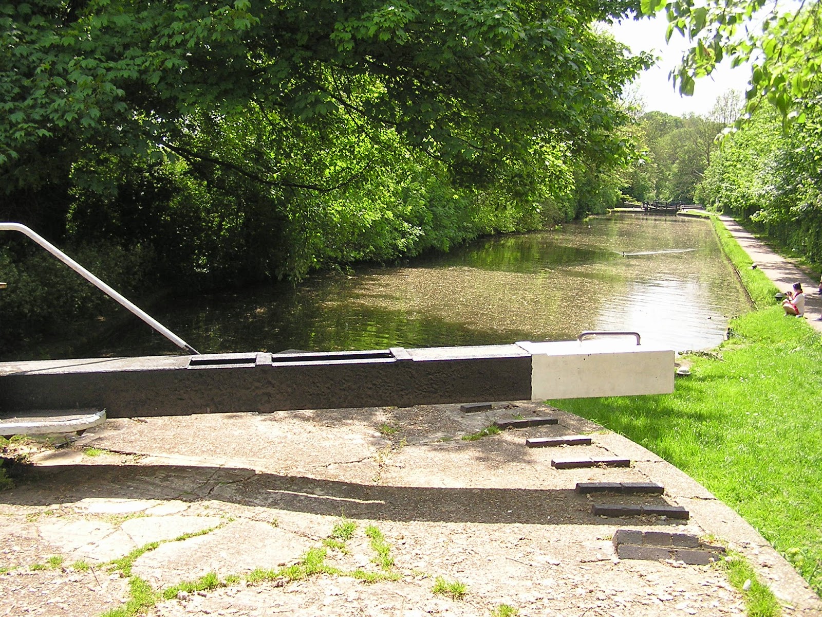 Gecko's Progress: May 2014