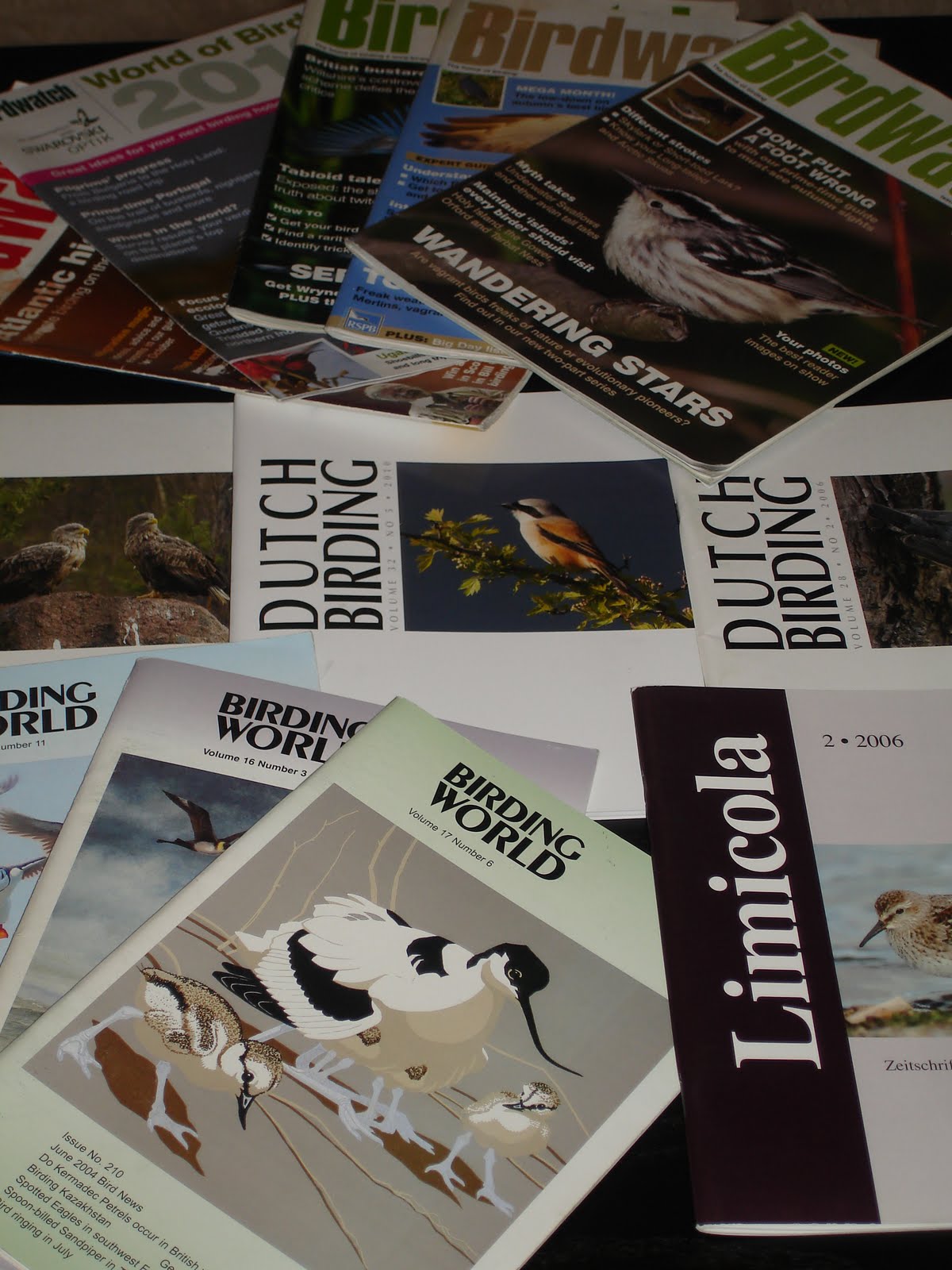 Non-Stop Birding: PUBLICATIONS