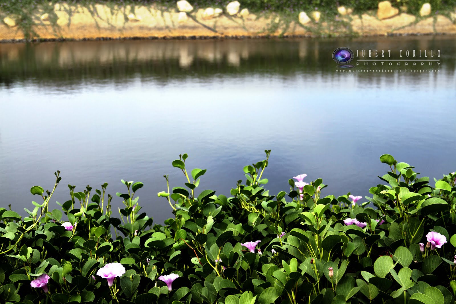 maestro prodction: tabing ilog