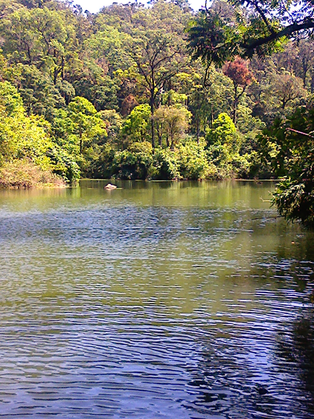 Isanchari - Travel Blog: Gavi is an eco-tourist spot in Pathanamthitta ...