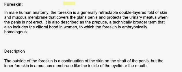 The Chronicle of Cultural Misandry: The Misandric Myth of Male ...