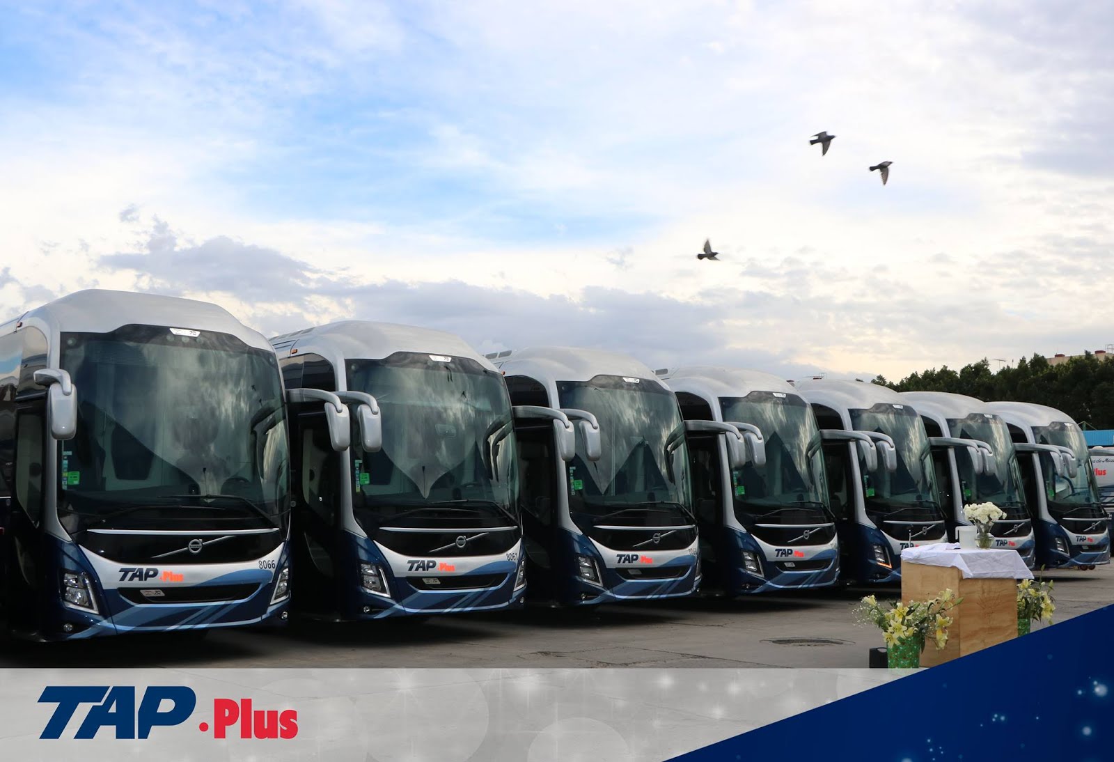 TAP Plus estrena Volvo 9800
