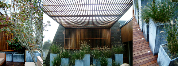 METRONOME: Planted Terraces : an introduction