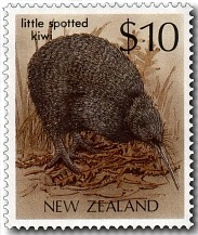 How the Kiwi Lost his Wings.