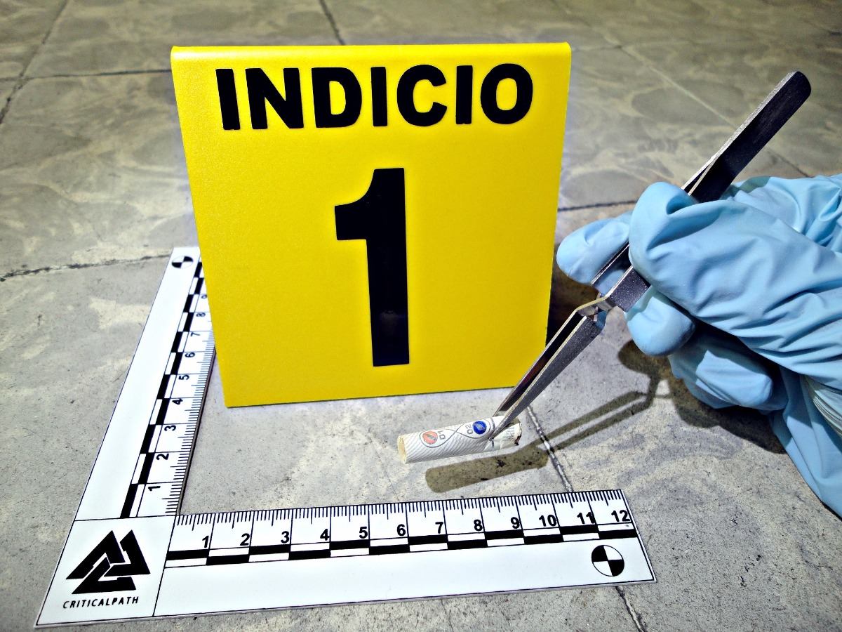 objetivos y tipos de incicio ~ El blog de criminalis
