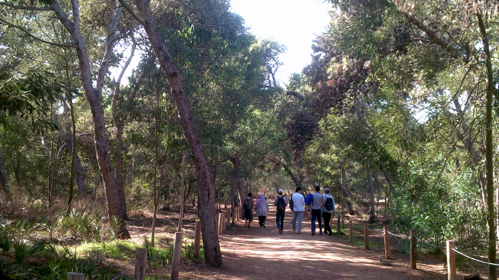 MAROC CORRECT: HARHOURA ET FORET