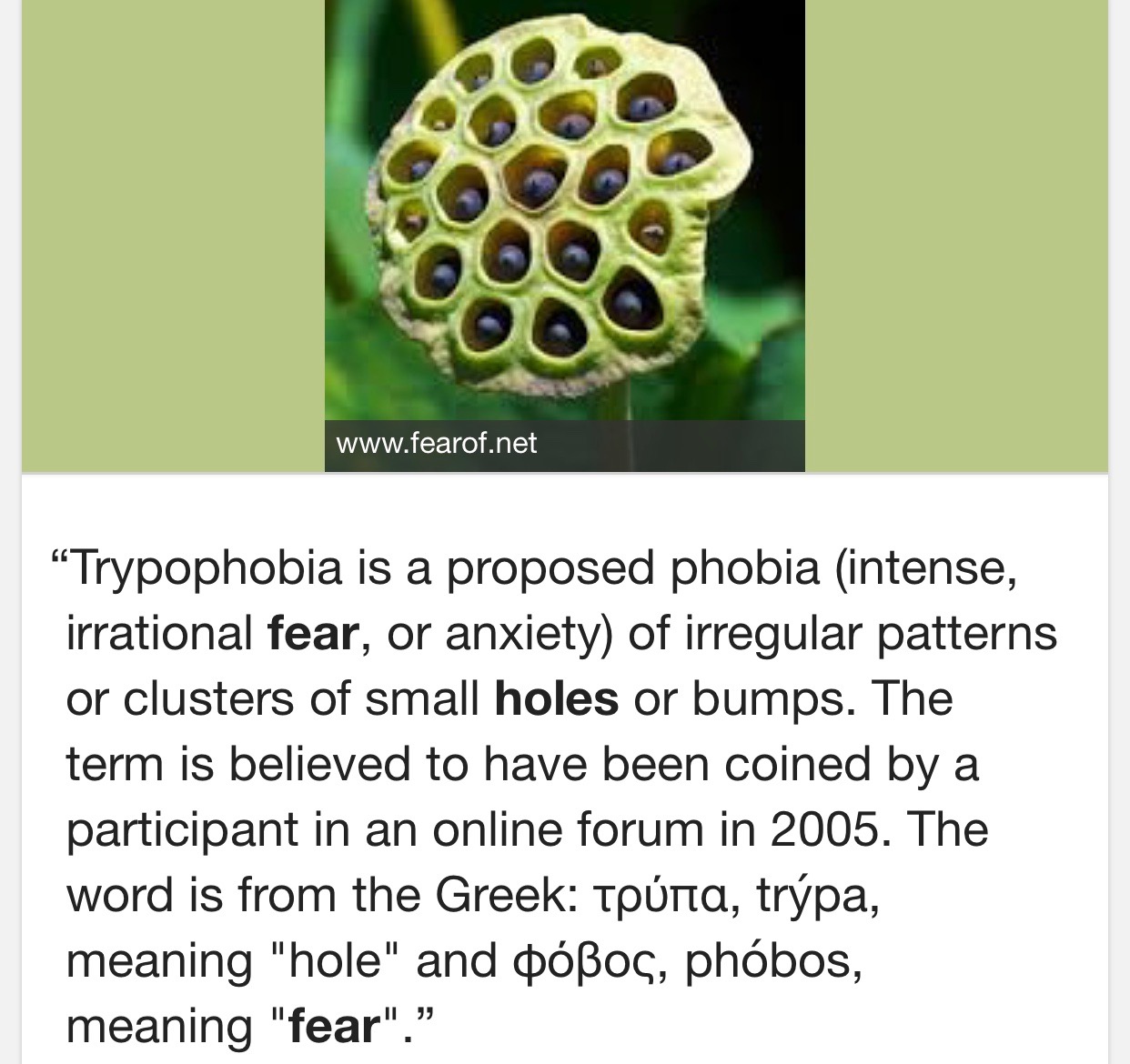 trypophobia | [組圖+影片] 的最新詳盡資料** (必看!!) - www.go2tutor.com