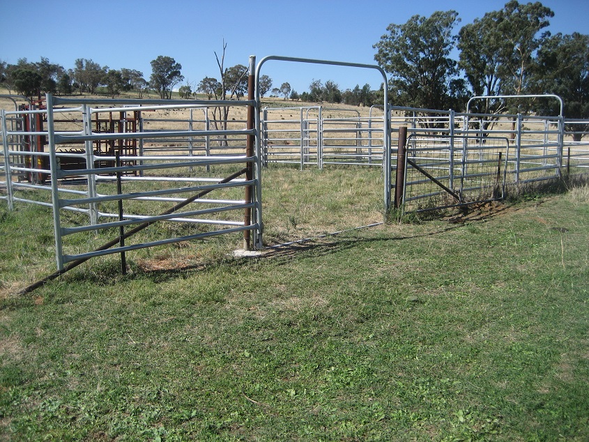 Ochre Archives: New Cattle Yards Now Functional