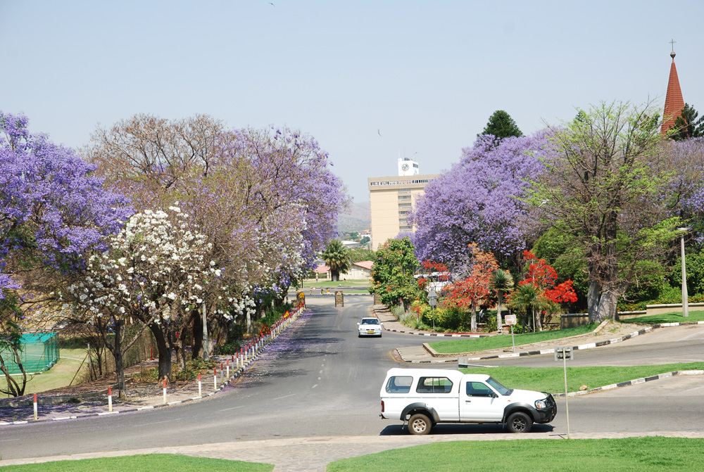 Footloose with Diana: Windhoek - Gardens