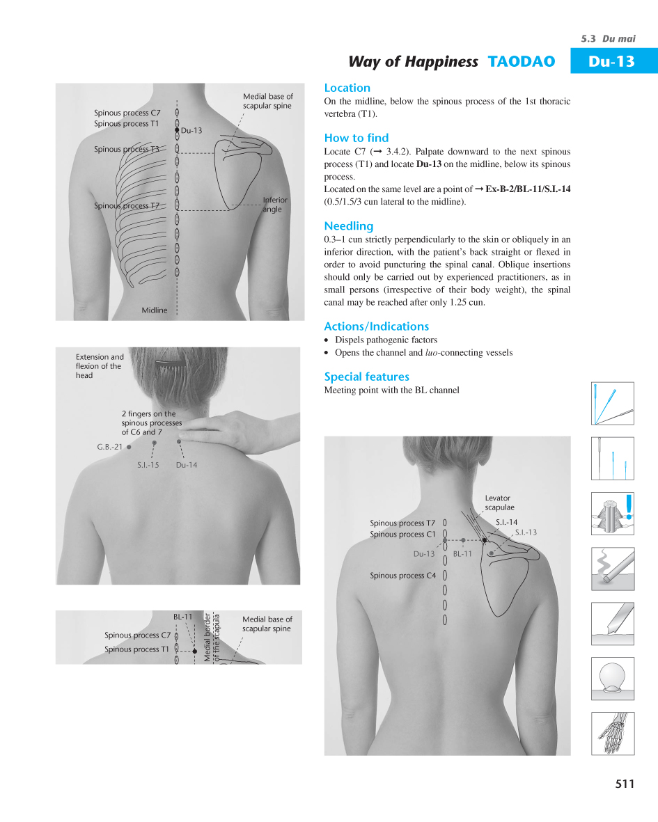 Acupuncture Masters: Acupuncture Points Database - Du Channel