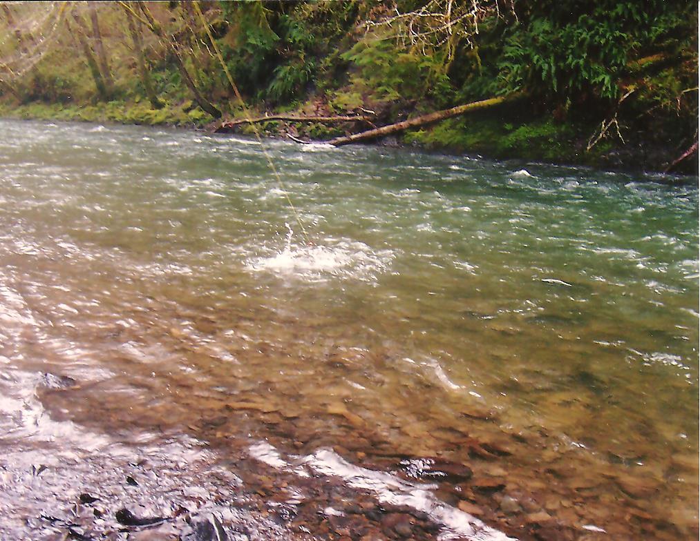 Fly Fishing with Doug Stewart: Fishing Courtesy