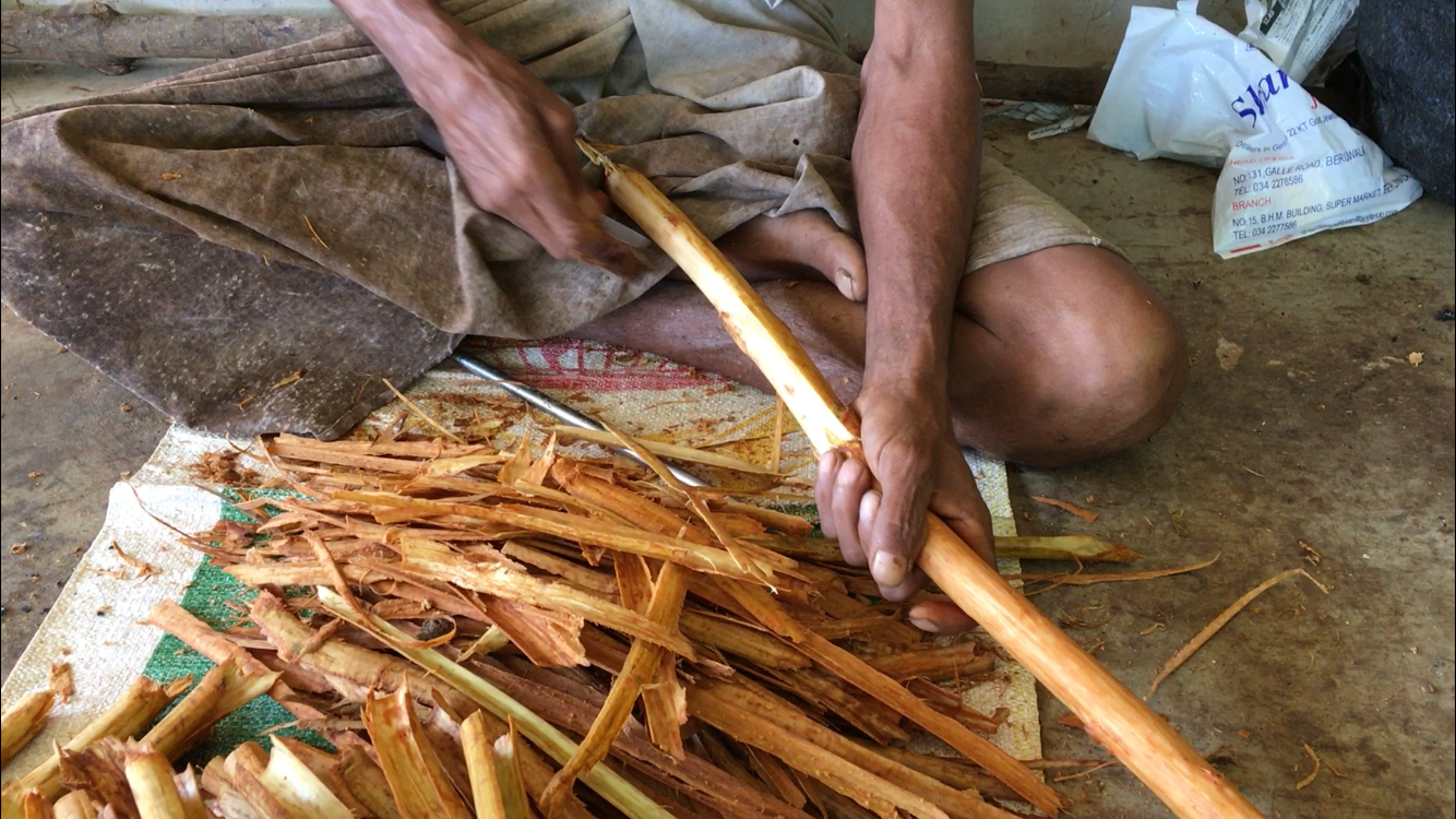 5 most important facts about Cinnamon