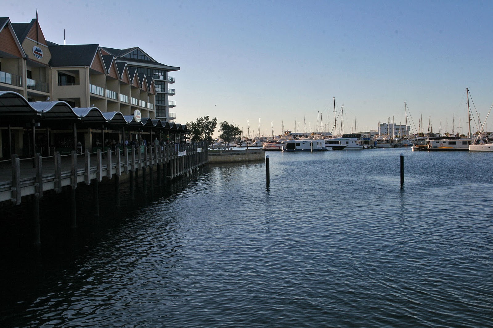 Journal of Life: Day 3 - Dolphin Quay, Mandurah