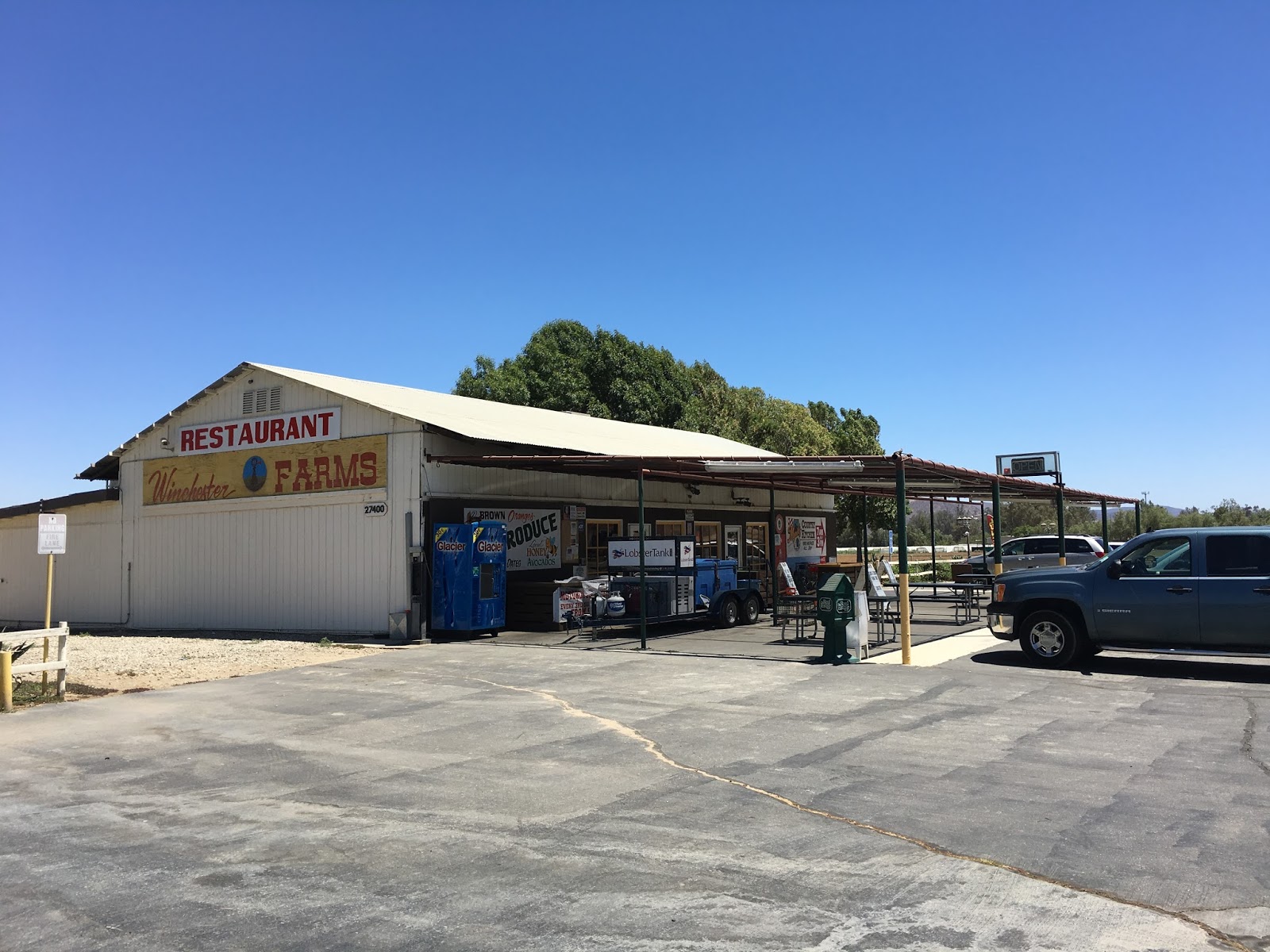 Cosmo's Root Beer Reviews: Ramblin' Root Beer
