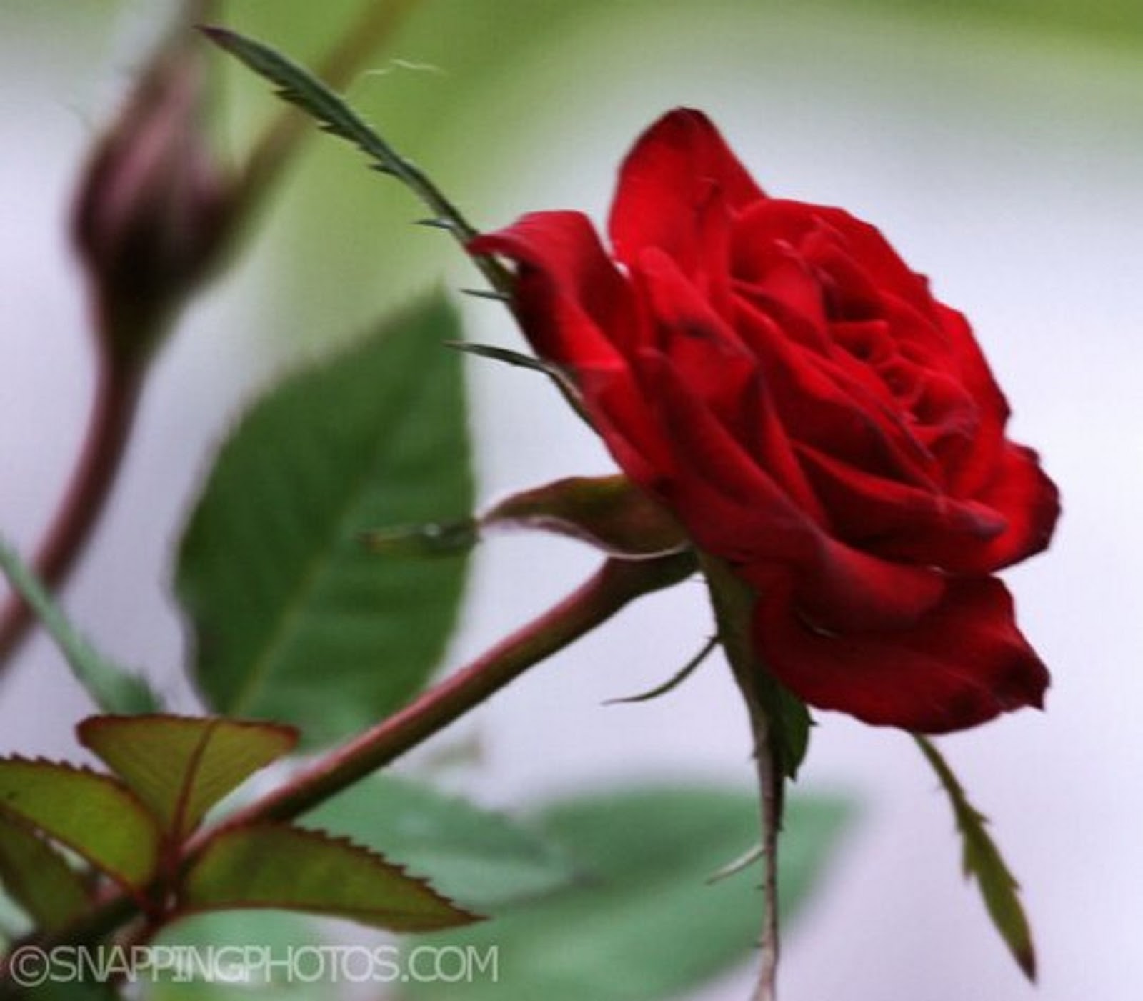 GSPDI House Of All Nations: MAWAR