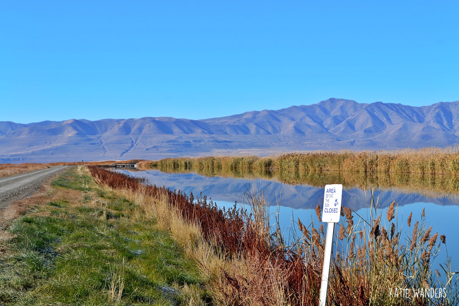 Katie Wanders : Bear River Migratory Bird Refuge
