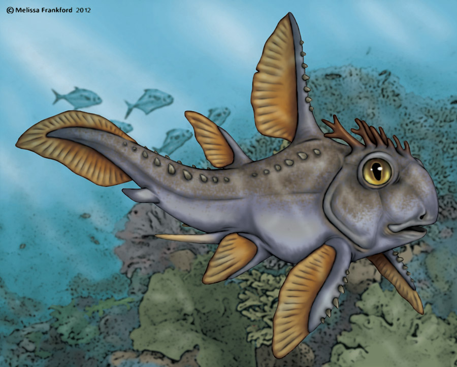 Σελαχος μορφή: Prehistóricos