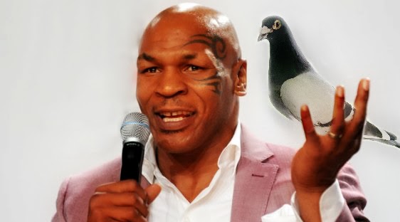 nieripigeons2-racing pigeons: Personas de la pantalla grande y otras ...