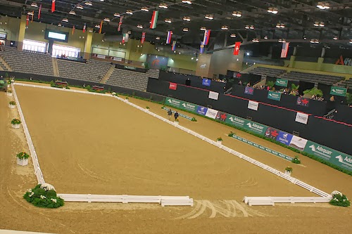 Making History: The US Dressage Finals