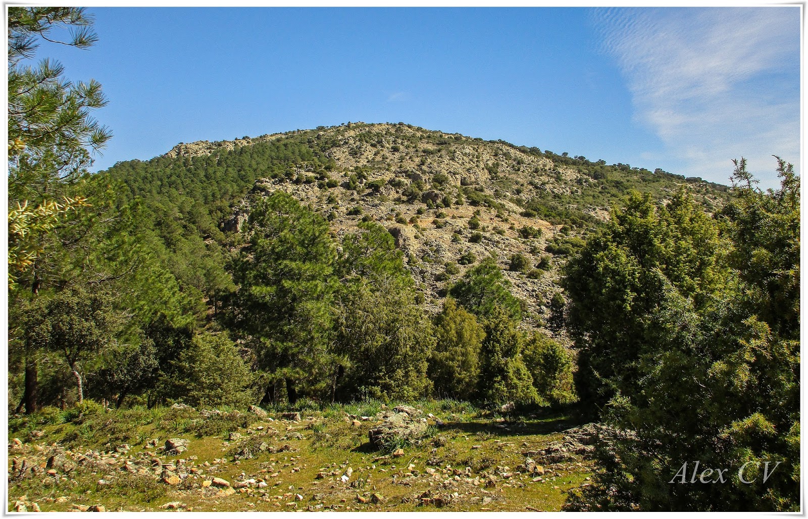 POR LOS CERROS DE ÚBEDA: CIRCULAR MIRANDA DEL REY, CASA DEL HORNILLO ...
