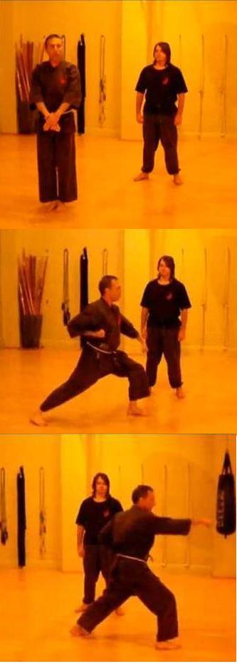 Step-through lunge punches as "stem cell movements"