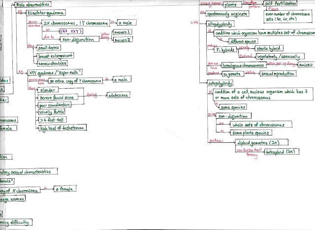BIOLOGY is to serve mankind...: 1.6 MUTATION