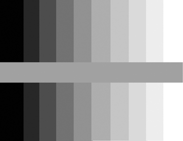 Dynamic Exposure: Simultaneous Contrast