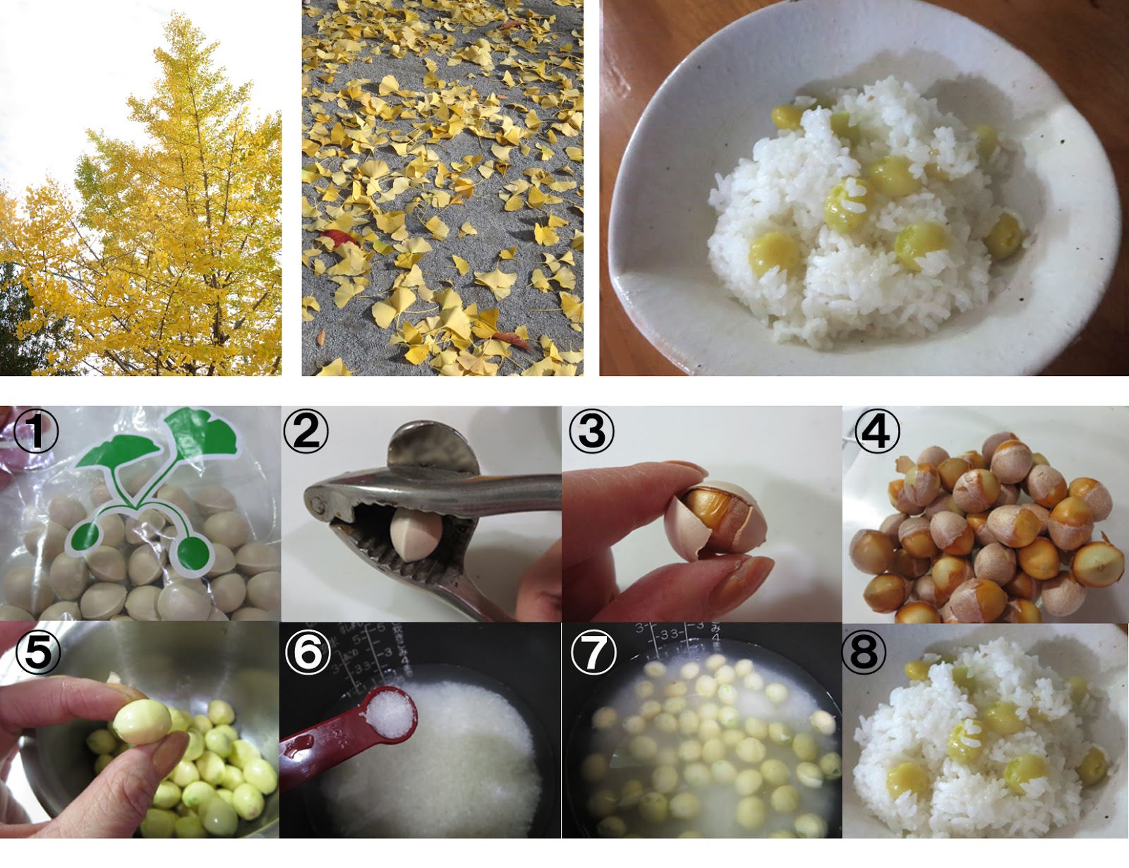 Yuko's Japan Guide: A Japanese Home Cooking Recipe in Fall Season ...