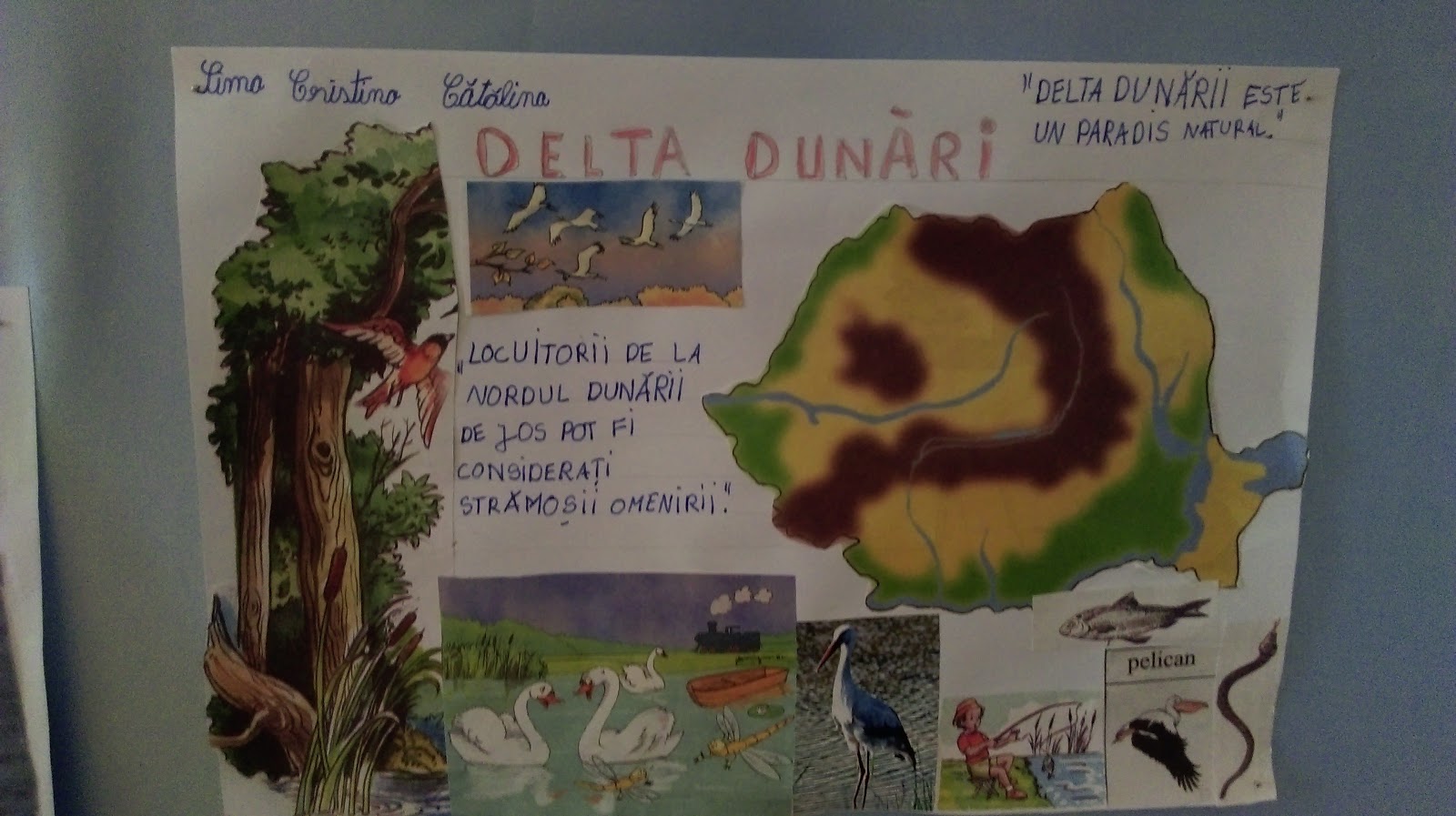 CLASA MEA: Cunoasterea mediului/Stiinte