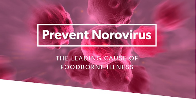 The Main Dish: Tips to Prevent Norovirus: The Leading Cause of ...