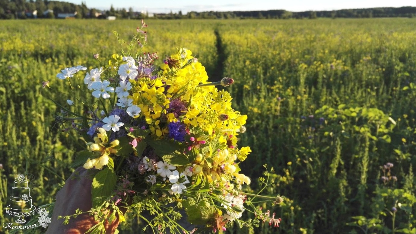 Kermaruusu: Mustikkaisia pullia