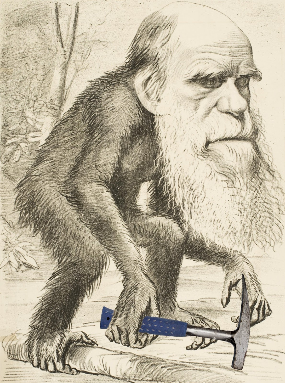 NotasGeo: Uniformitarismo e evolução: o tempo e o ritmo do jovem ...