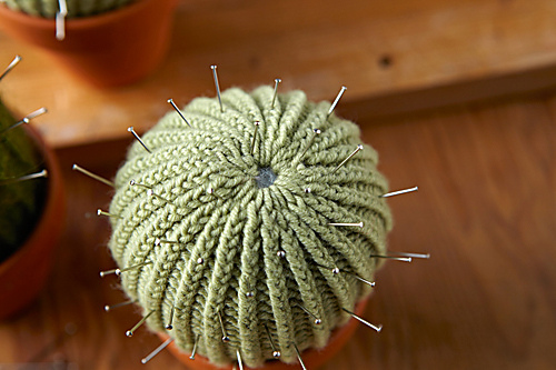 Ergahandmade: Cactus Knitting + Free Pattern