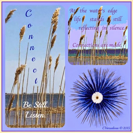 Beyond LiteracyLink: Celebrating Connections