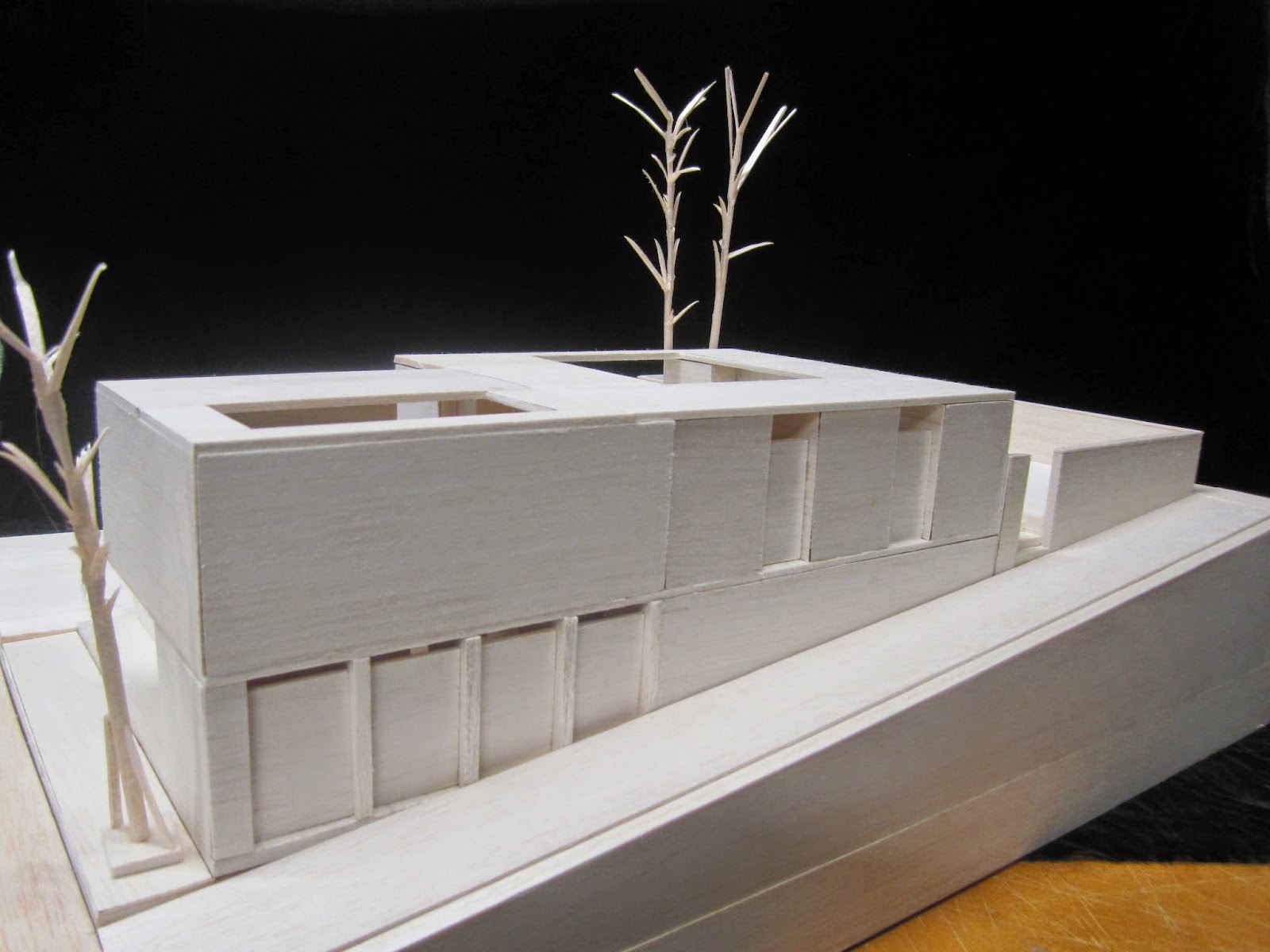 Yiming Song UNSW Arch