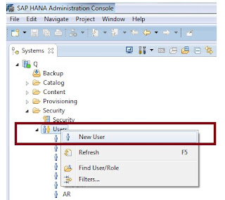 SAP BASIS Crew: Creating SAP HANA user