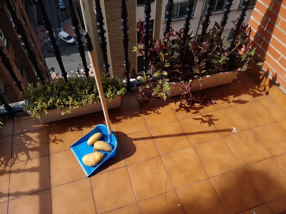 Desde el tercer planeta : Equinoccio: Cuando las sombras mantienen el rumbo