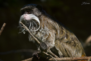 El Lugar del Recuerdo...: abril 2012