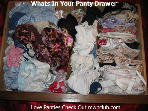 Panty Drawer Panties Drawer Underwear Drawer