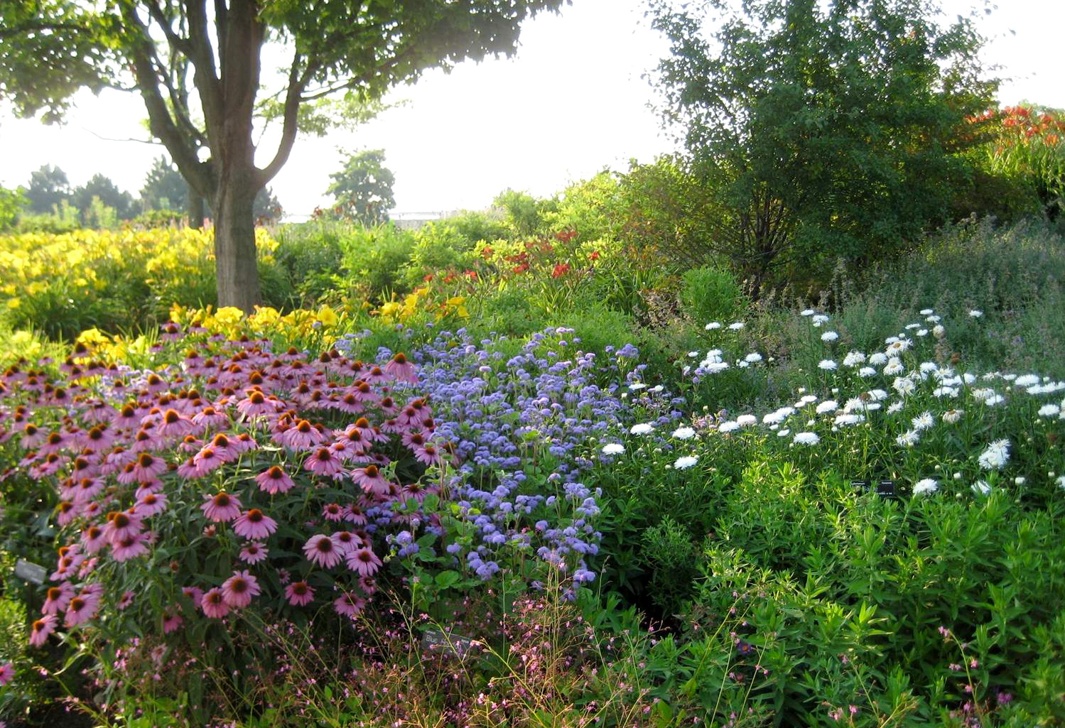 Two Men and a Little Farm: INSPIRATION THURSDAY, INFORMAL PERENNIAL GARDEN