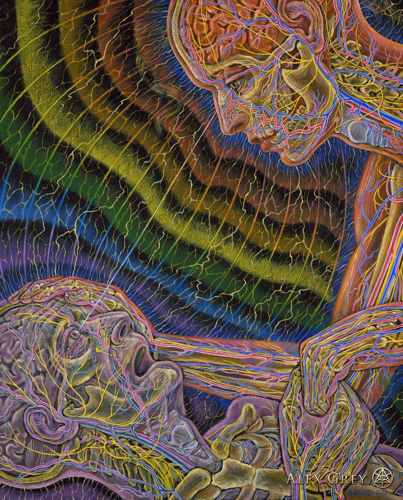 Cromofora La ( Paloma) Contemporary Online Art Gallery: ALEX GREY ...