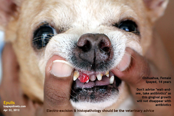 2010vets: April 2012