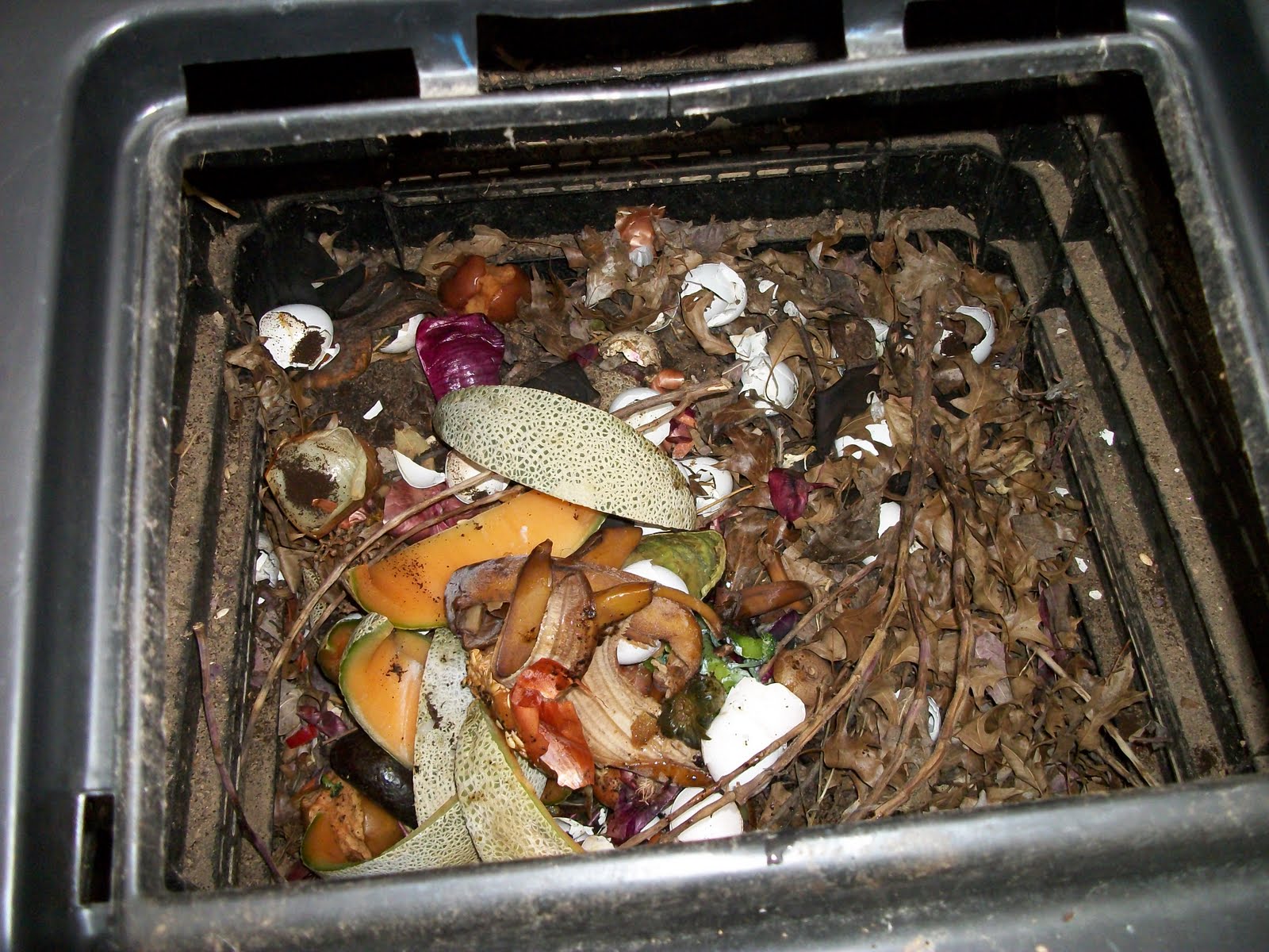 How to Start & Maintain a Backyard Compost | Family Balance Sheet