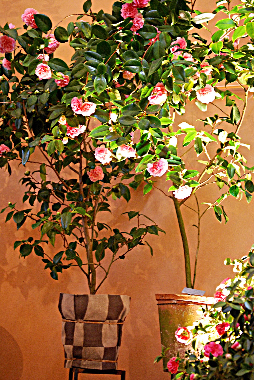 tage andersen- ny utställning!