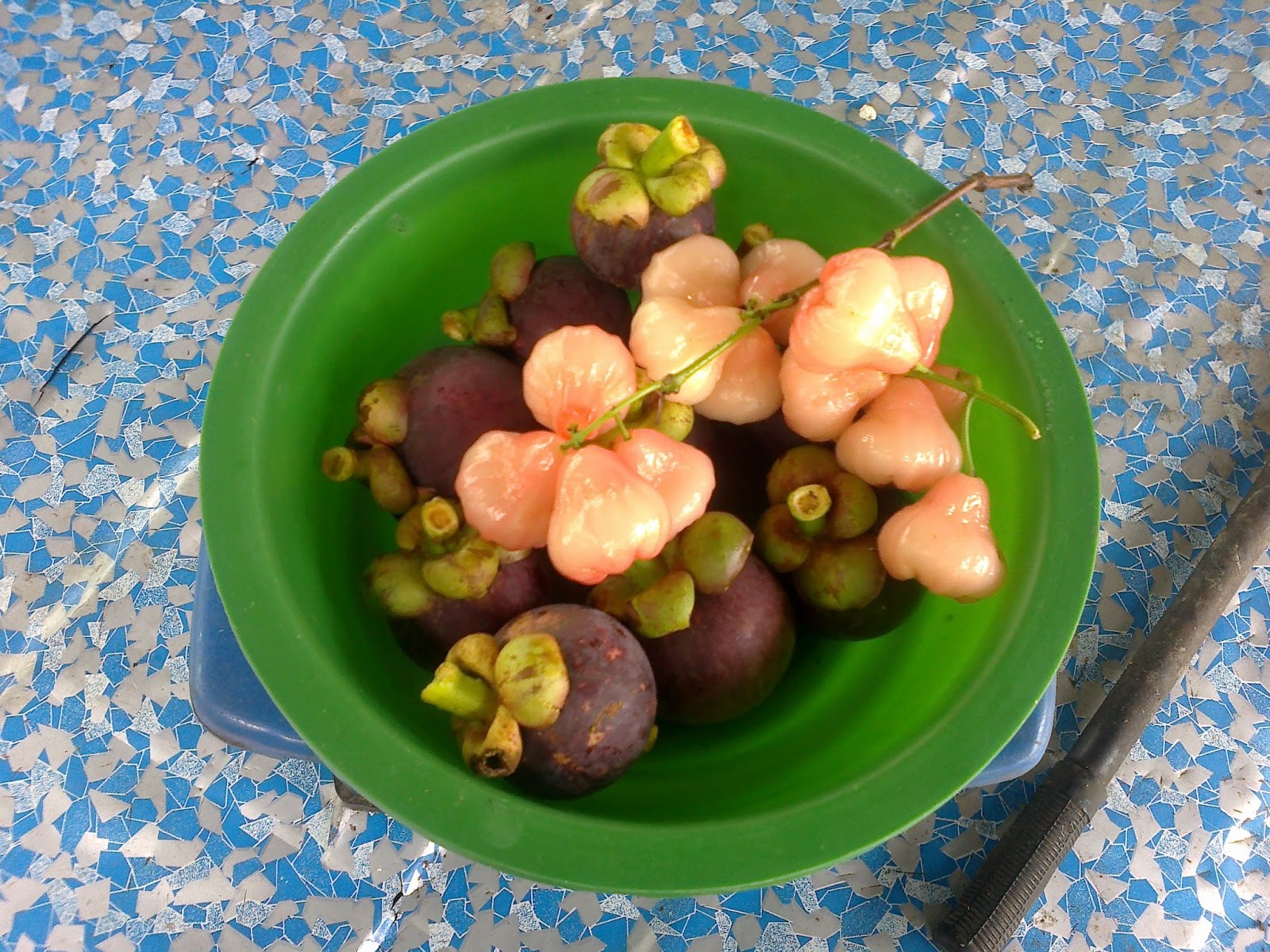 cik azz: DIY: MinahGyver dan alat jolok buah manggis... :D