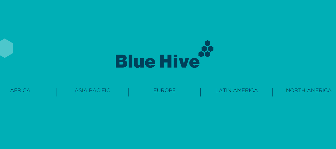 #EMPLEO: Blue Hive busca Diseñador, Redactor y Programador WEB ...