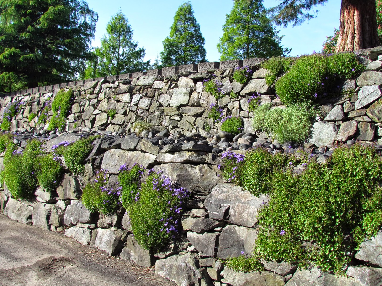 Scene Through My Eyes: Amazing Rock Wall