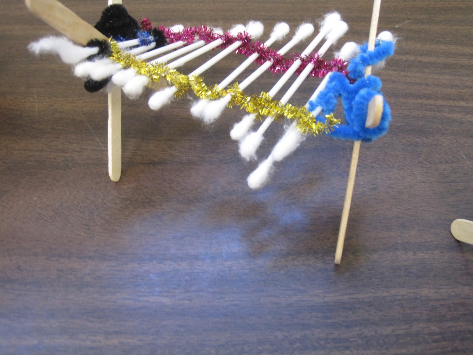 The Elementary Library (and more!): Bone Bridges and Day of the Dead